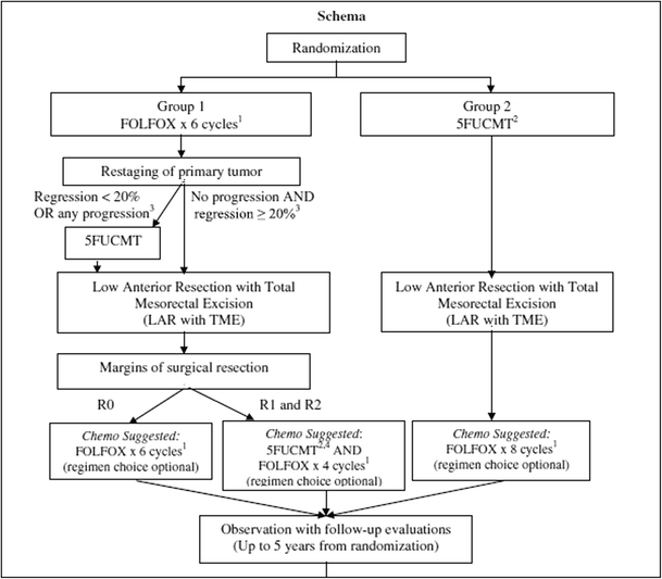 The Neoadjuvant Treatment of Rectal Cancer: A Review | SpringerLink