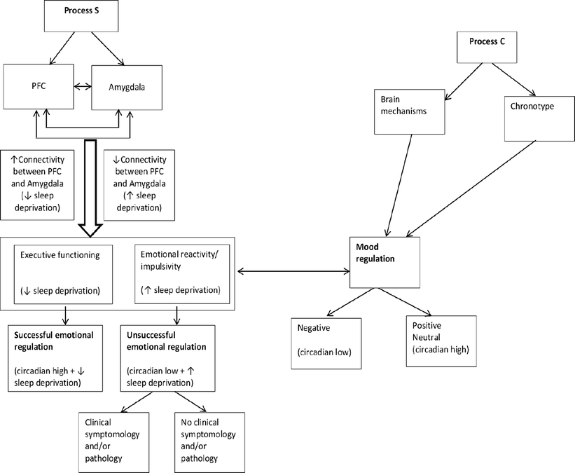 The Interplay Between Sleep and Emotion Regulation: Conceptual ...