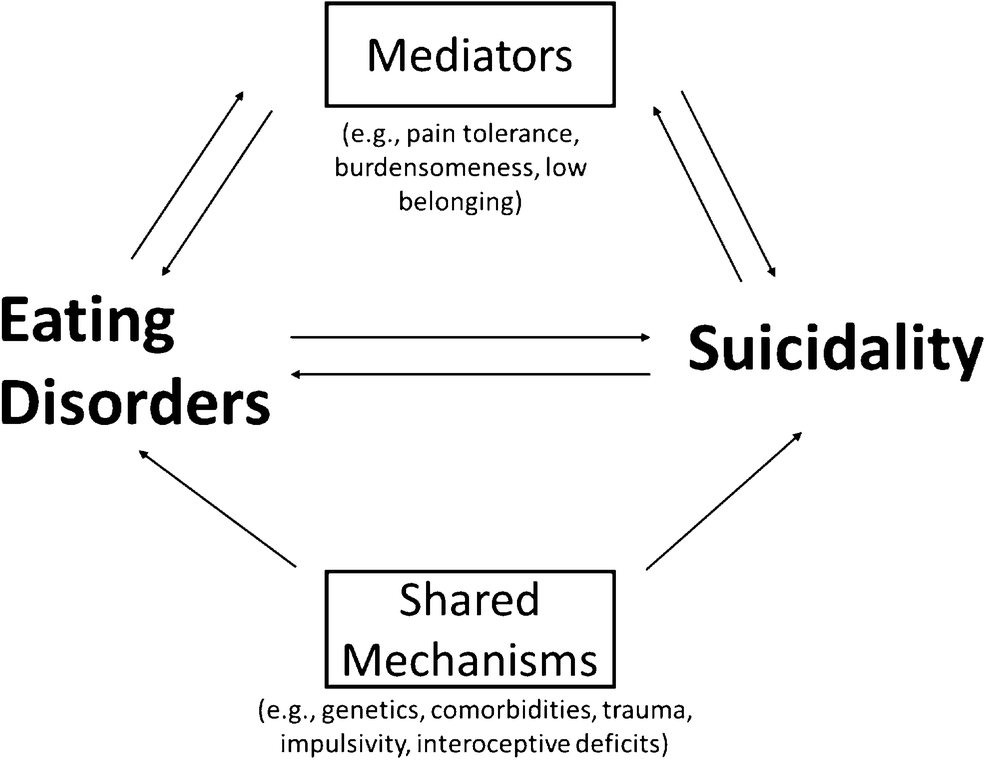 Which Comes First? An Examination of Associations and Shared Risk ...
