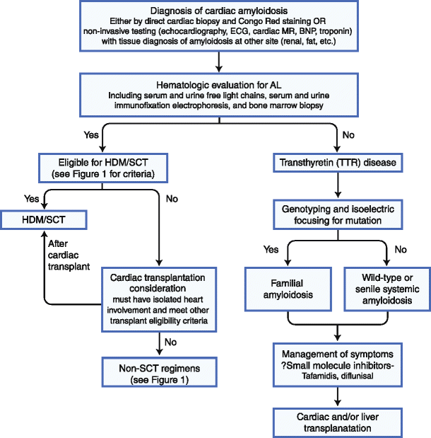 Cardiac Amyloidosis: Evolving Approach to Diagnosis and Management ...