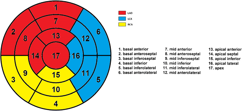 Assessment of Cardiac Function by Echocardiography | SpringerLink