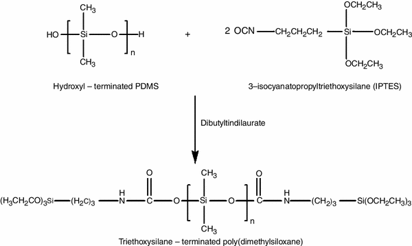 Polydimethylsiloxane (PDMS)-based antibacterial organic–inorganic ...