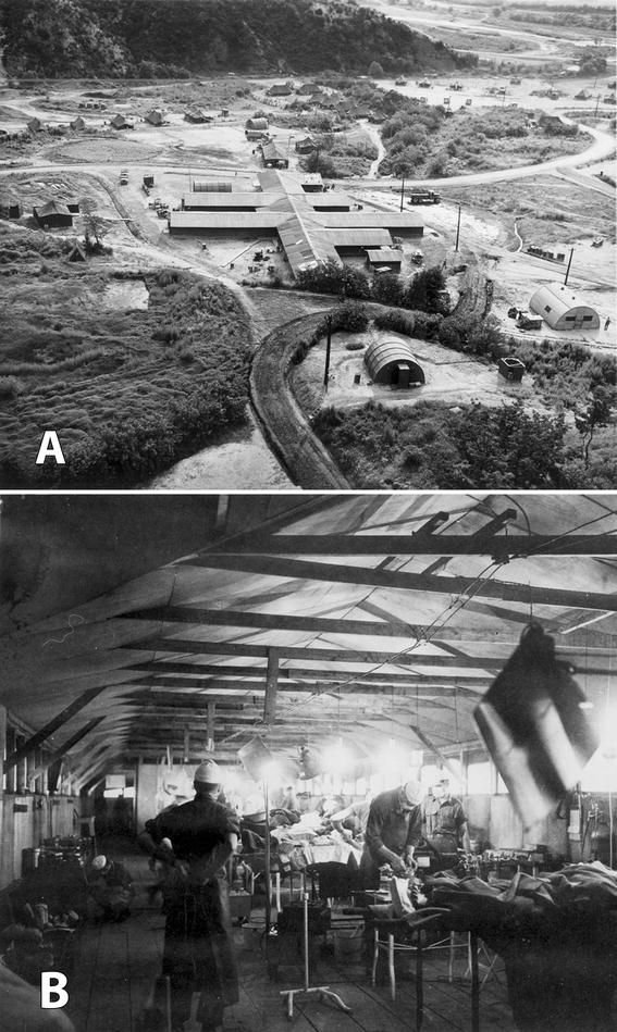 Treatment of War Wounds: A Historical Review | SpringerLink