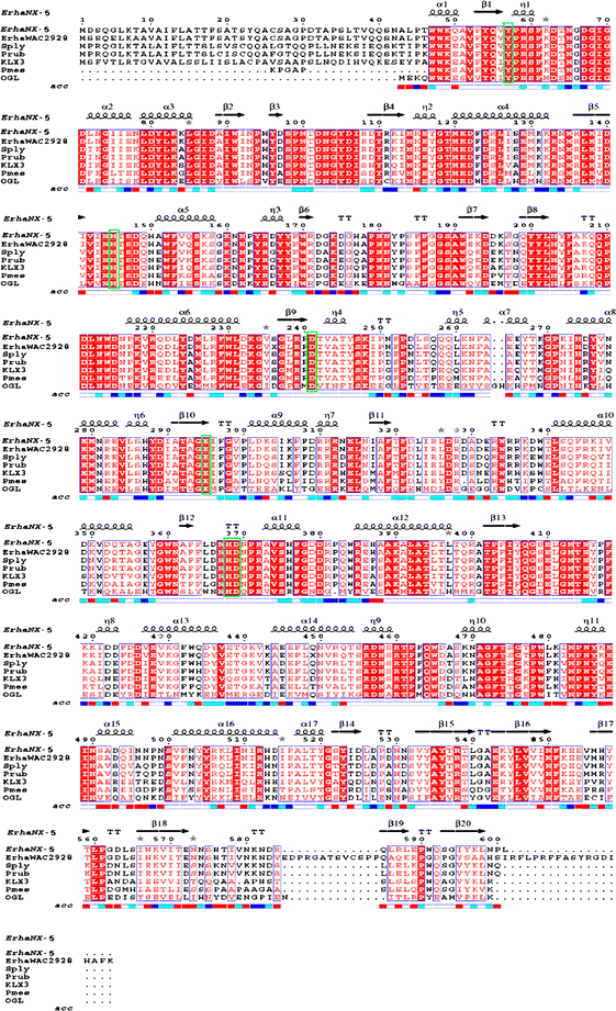 Cloning and Characterization of a Sucrose Isomerase from Erwinia ...