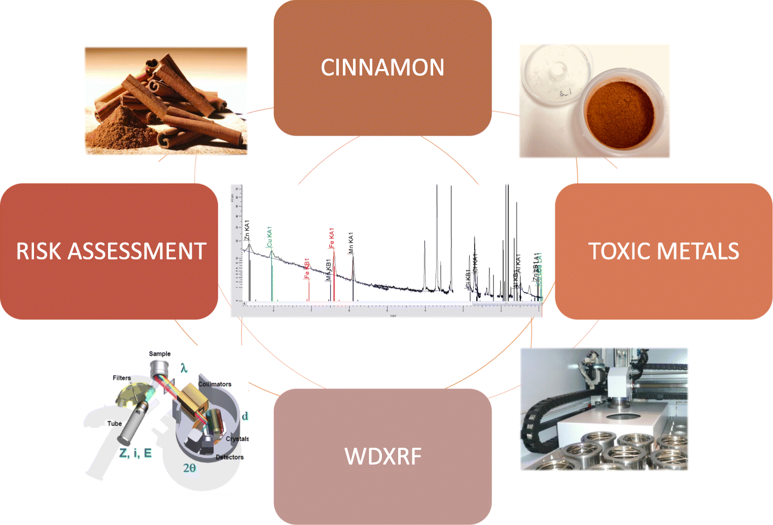 Assessment of Human Health Risk of Toxic Elements Due to Cinnamon ...