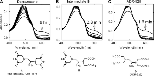 Dexrazoxane: how it works in cardiac and tumor cells. Is it a prodrug ...