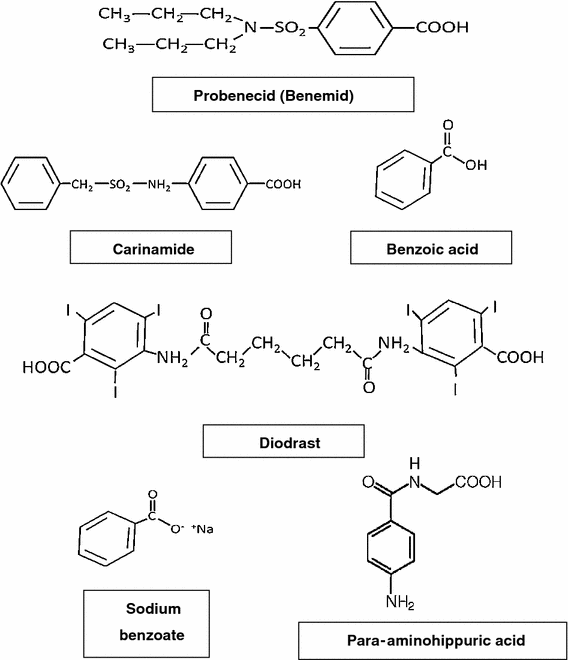The History and Future of Probenecid | SpringerLink
