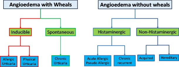 Angioedema Phenotypes: Disease Expression and Classification | SpringerLink