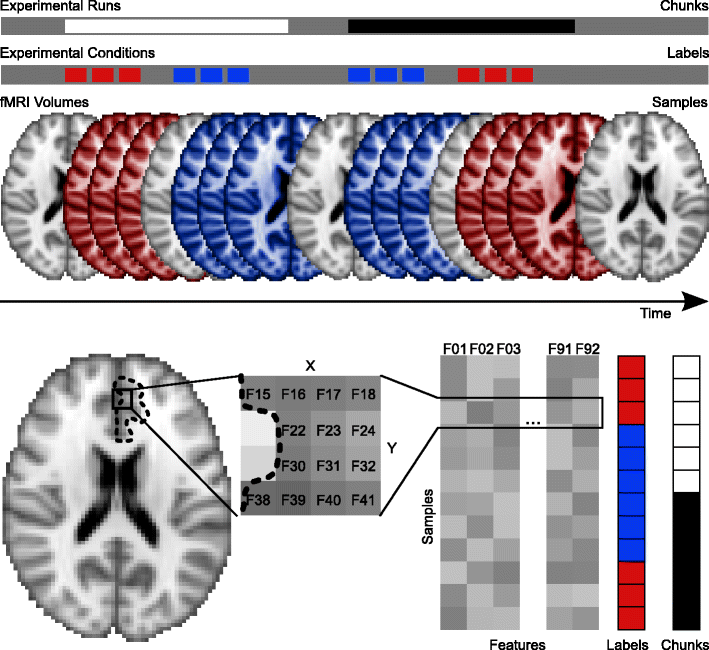 PyMVPA: a Python Toolbox for Multivariate Pattern Analysis of fMRI Data | SpringerLink