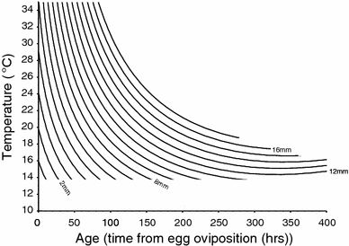 Forensic entomology: applications and limitations | SpringerLink