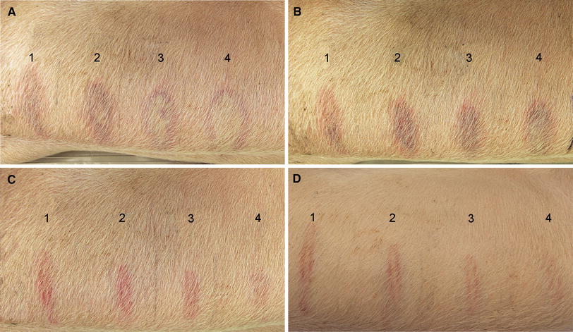 A novel, comprehensive, and reproducible porcine model for determining ...