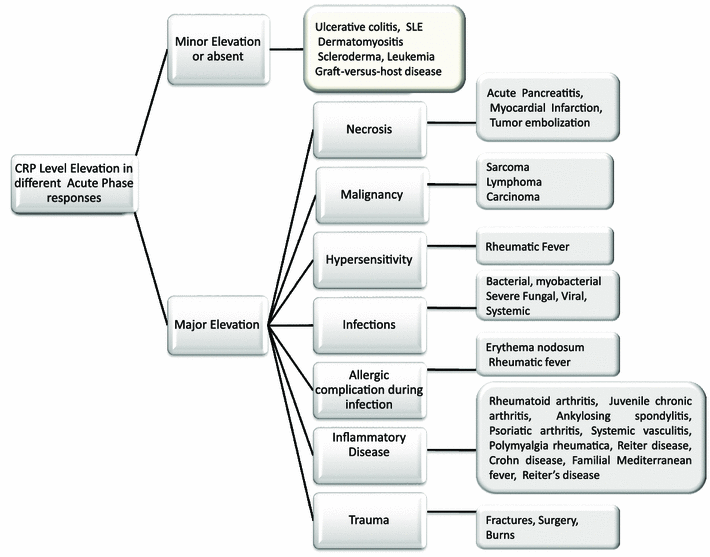 C-reactive protein and the biology of disease | SpringerLink