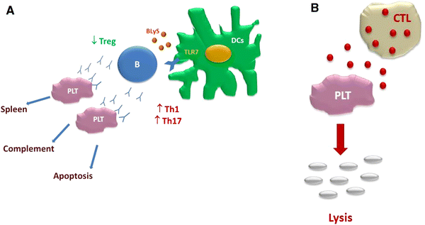Immune thrombocytopenic purpura (ITP) associated with vaccinations: a ...