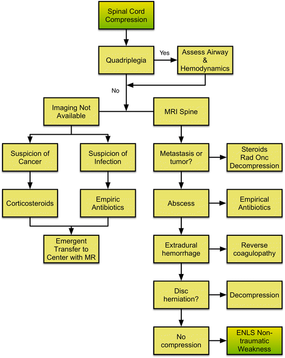 Emergency Neurologic Life Support: Spinal Cord Compression | SpringerLink