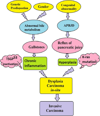 Staging, Treatment, and Future Approaches of Gallbladder Carcinoma ...