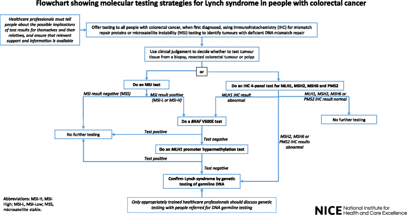 Expending Role of Microsatellite Instability in Diagnosis and Treatment ...
