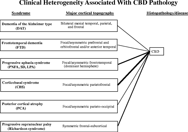 The Multiple Phenotypes of Corticobasal Syndrome and Corticobasal ...