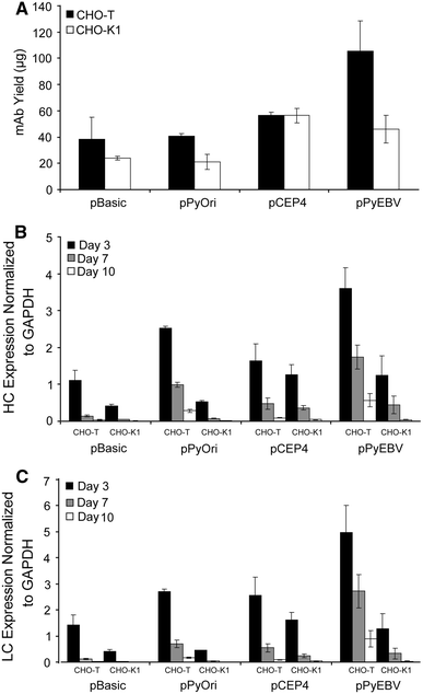 Enhanced CHO Cell-Based Transient Gene Expression with the Epi-CHO ...