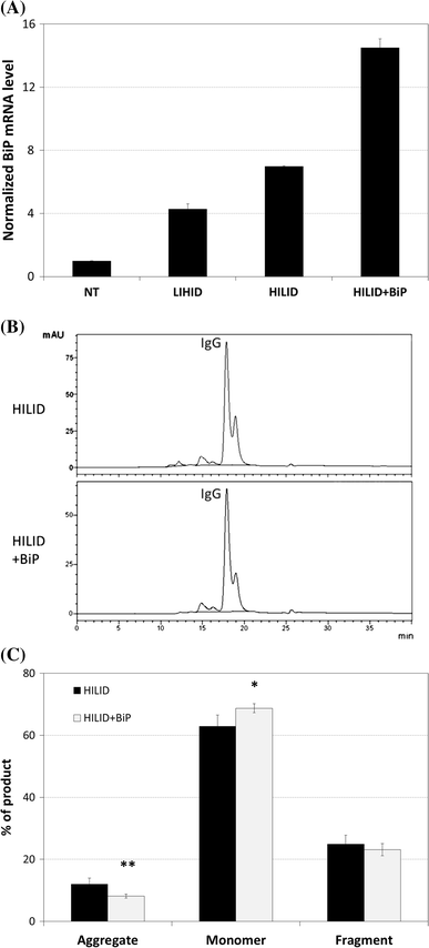 IgG Aggregation Mechanism for CHO Cell Lines Expressing Excess Heavy ...