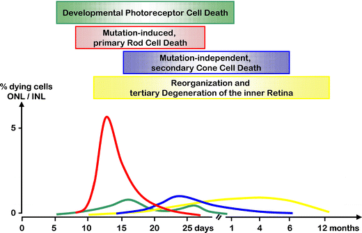 Photoreceptor Cell Death Mechanisms in Inherited Retinal Degeneration ...