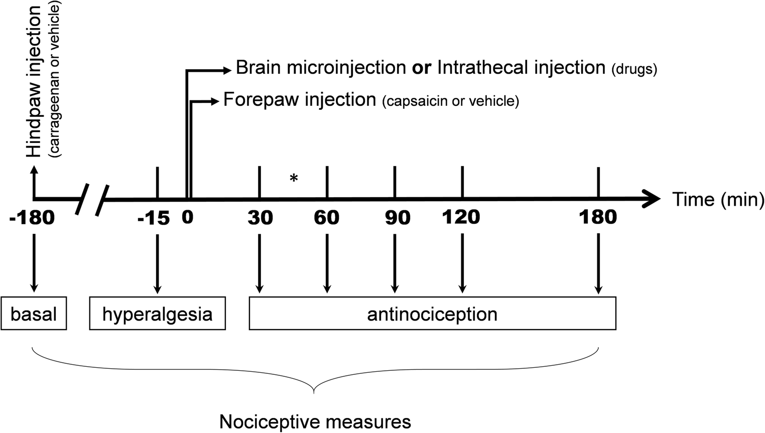 Pain Inhibits Pain: an Ascending-Descending Pain Modulation Pathway ...