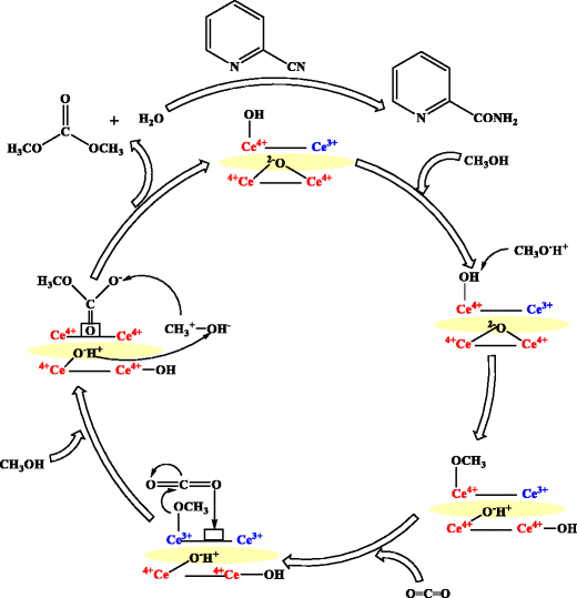 Direct synthesis of dimethyl carbonate from CO2 and methanol over CeO2 ...