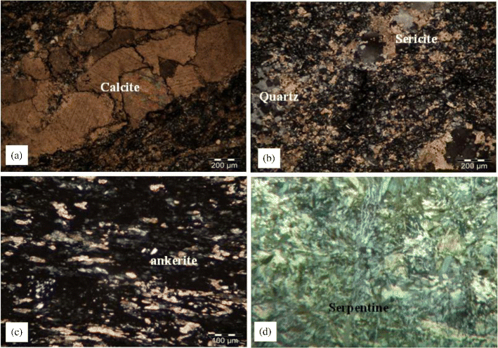 ‘Indicator’ carbonaceous phyllite/graphitic schist in the Archean ...