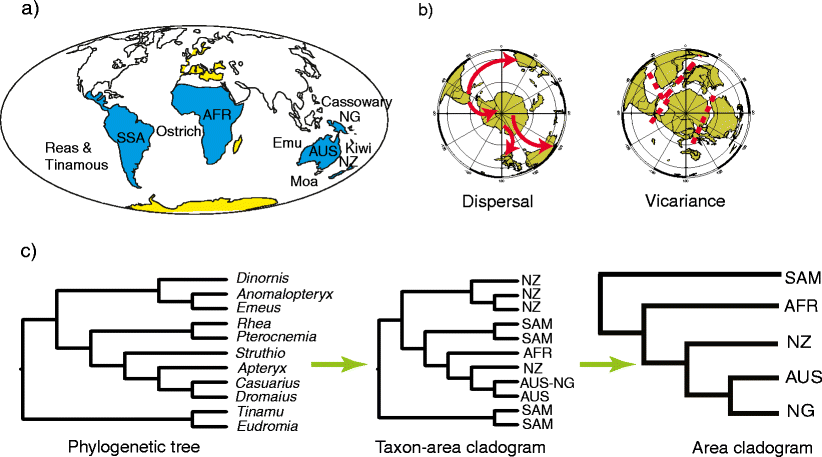Historical Biogeography: Evolution in Time and Space | SpringerLink