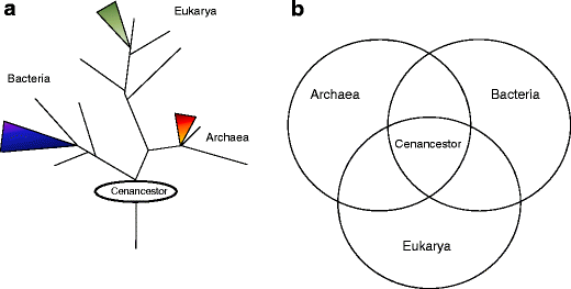 Cenancestor, the Last Universal Common Ancestor | SpringerLink