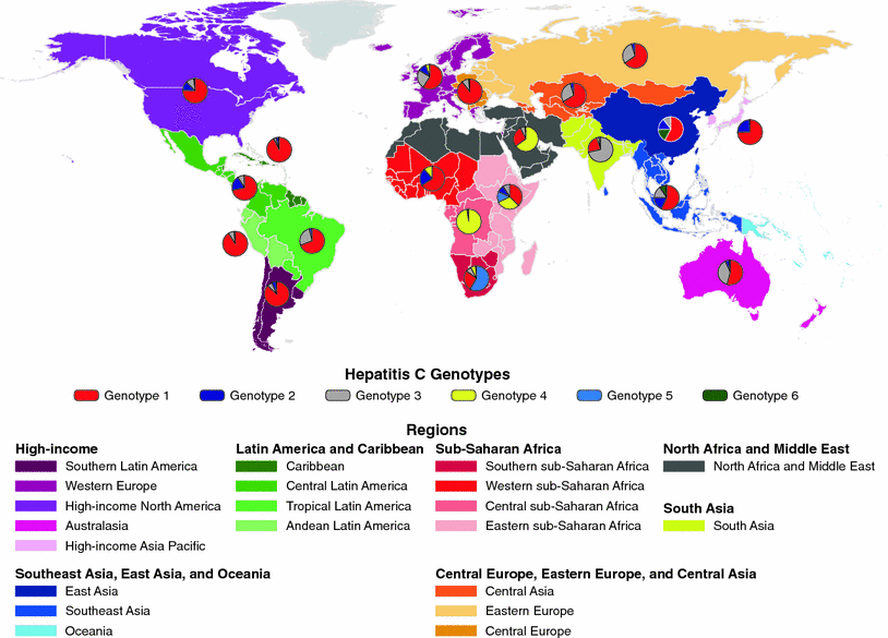Hepatitis C genotype 3 disease | SpringerLink