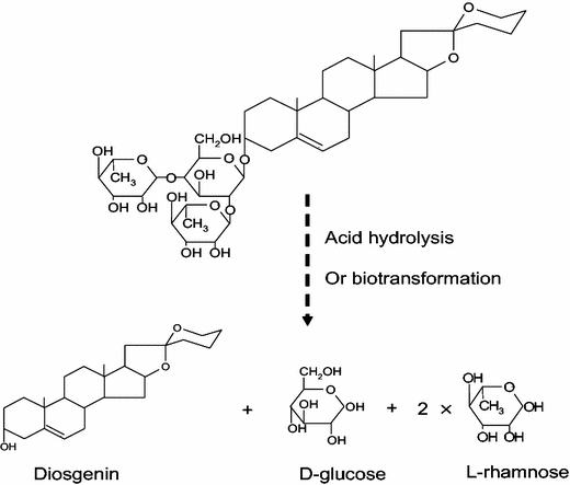 Direct Biotransformation of Dioscin into Diosgenin in Rhizome of ...