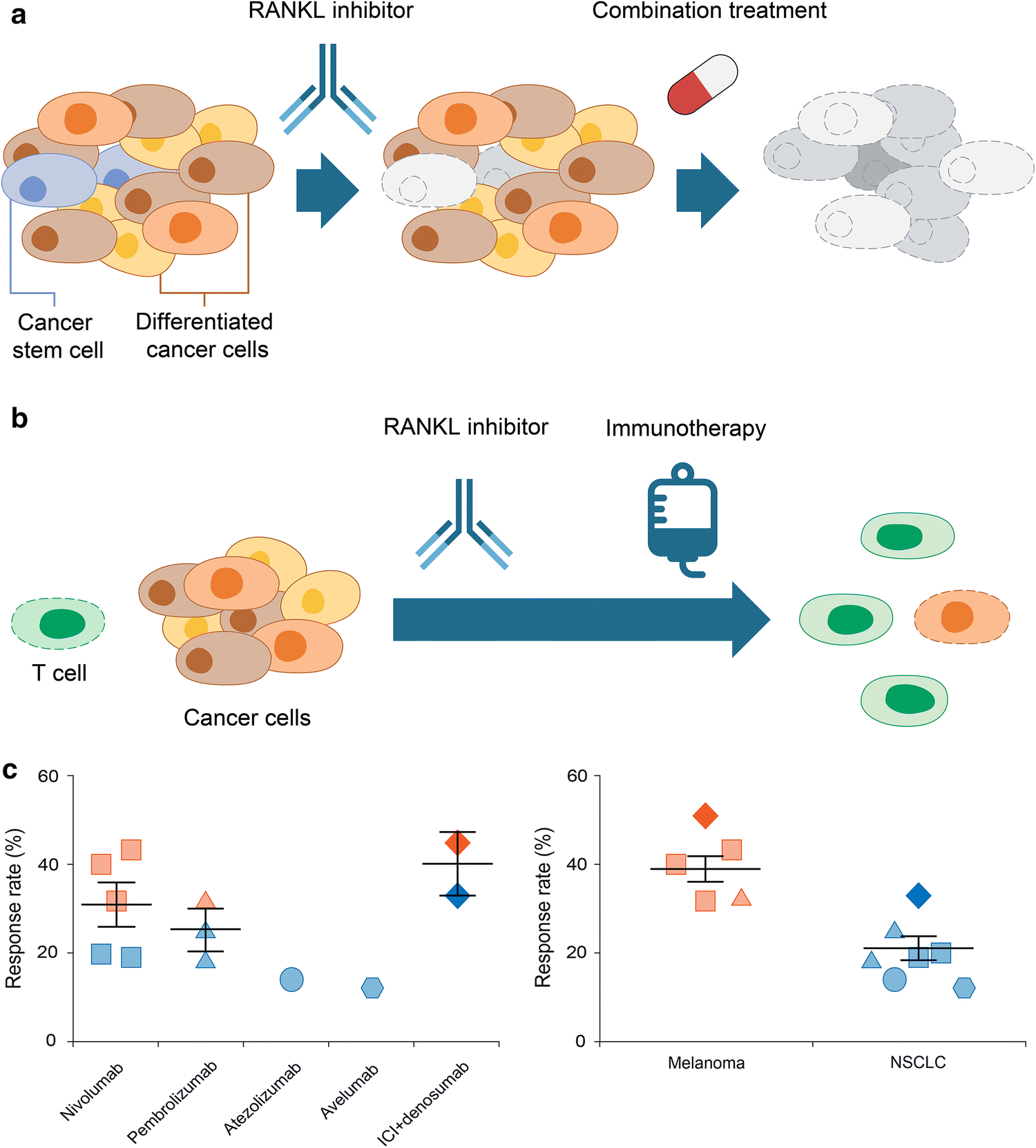 The RANK–RANKL axis: an opportunity for drug repurposing in cancer ...