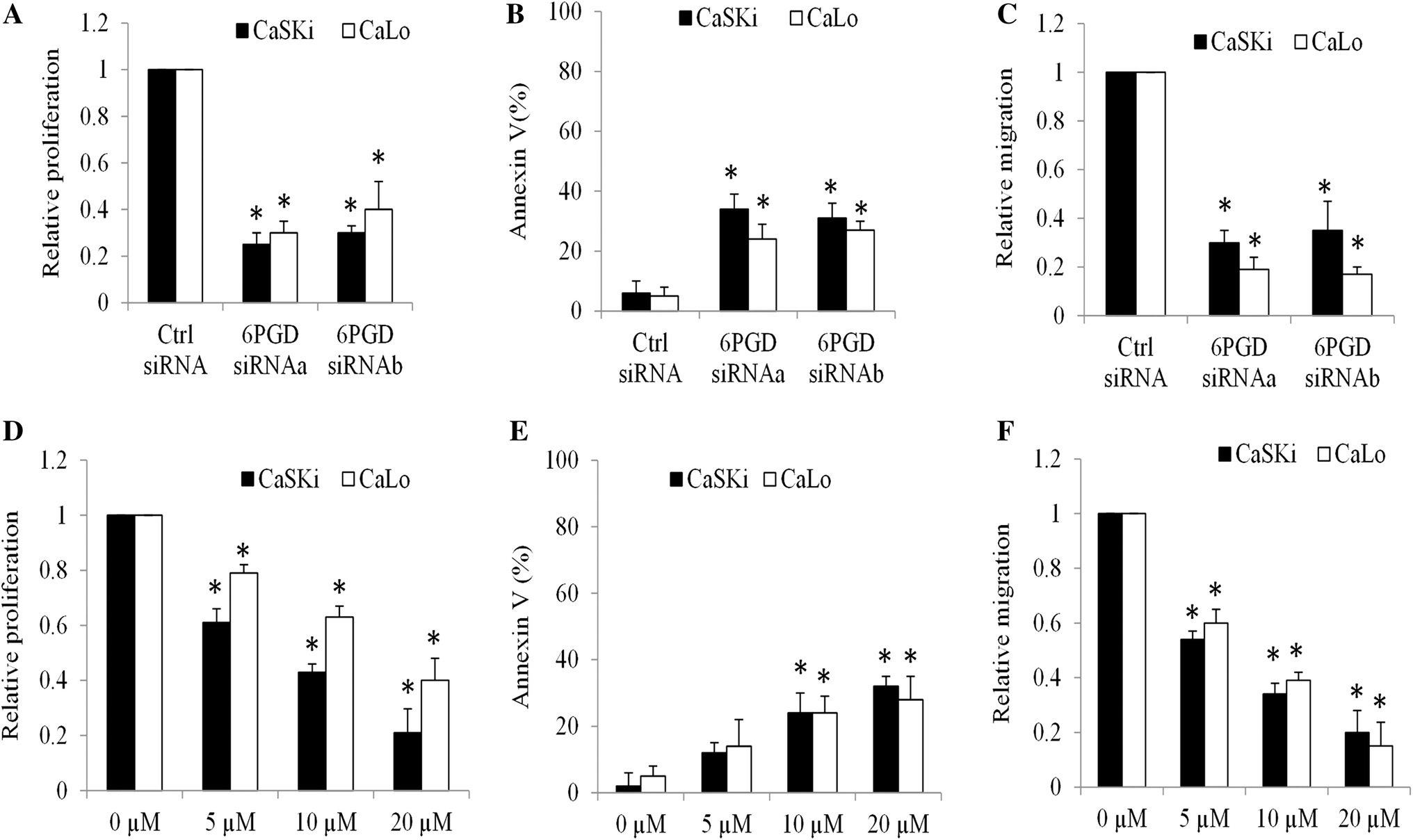 Inhibiting 6-phosphogluconate dehydrogenase enhances chemotherapy ...
