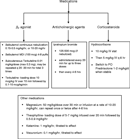 Management of Status Asthmaticus in Children | SpringerLink