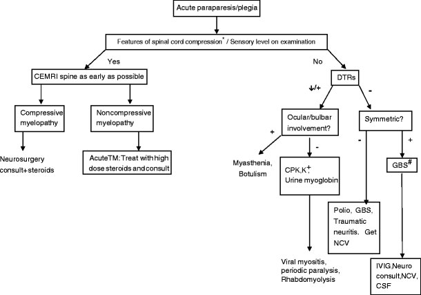 Approach to a Child with Acute Flaccid Paralysis | SpringerLink