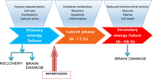 Therapeutic Cooling for Perinatal Asphyxia-Indian Experience | SpringerLink