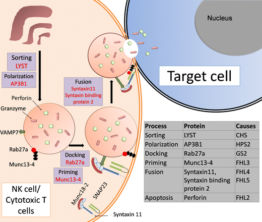 Current Updates on Classification, Diagnosis and Treatment of ...