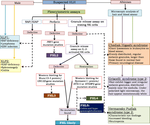 Current Updates on Classification, Diagnosis and Treatment of ...