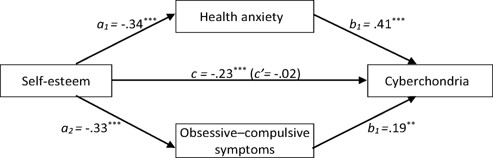 Self-esteem and cyberchondria: The mediation effects of health anxiety ...