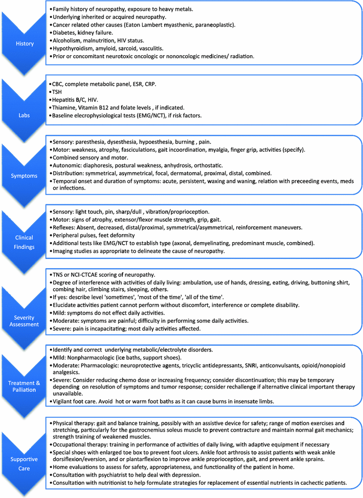 Management of paclitaxel-induced neurotoxicity | SpringerLink