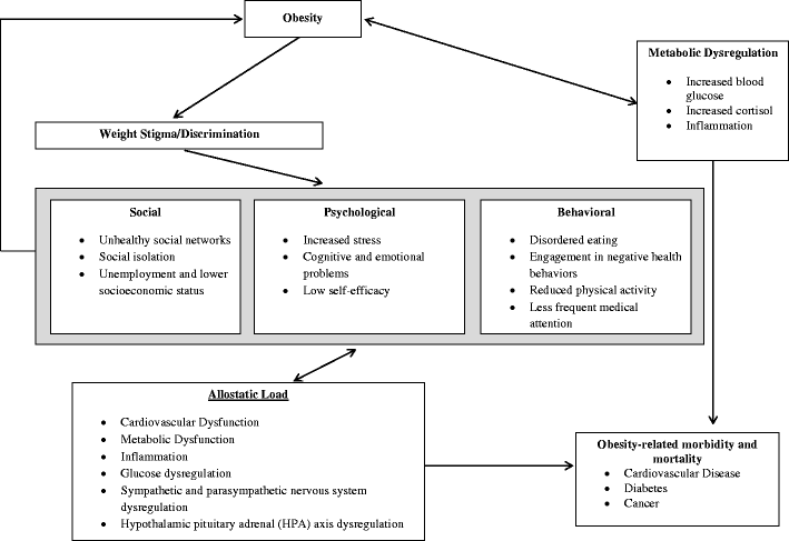 Perceived Weight Discrimination and 10-Year Risk of Allostatic Load ...