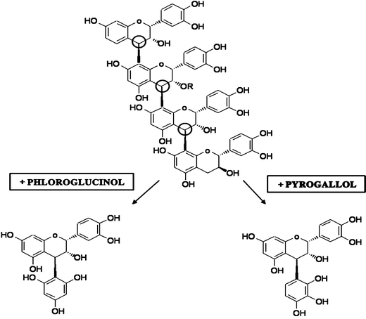 Pyrogallol: an Alternative Trapping Agent in Proanthocyanidins Analysis ...