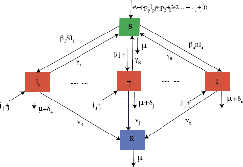 Global analysis of multi-strains SIS, SIR and MSIR epidemic models ...