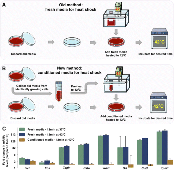 Use of conditioned media is critical for studies of regulation in ...
