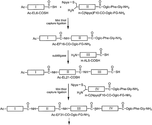 Progress in Chemical Synthesis of Peptides and Proteins | SpringerLink