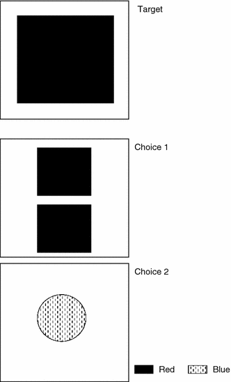 How the brain deals with novelty and ambiguity: implications for ...