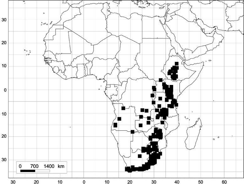 A monographic study of the Oliniaceae | SpringerLink