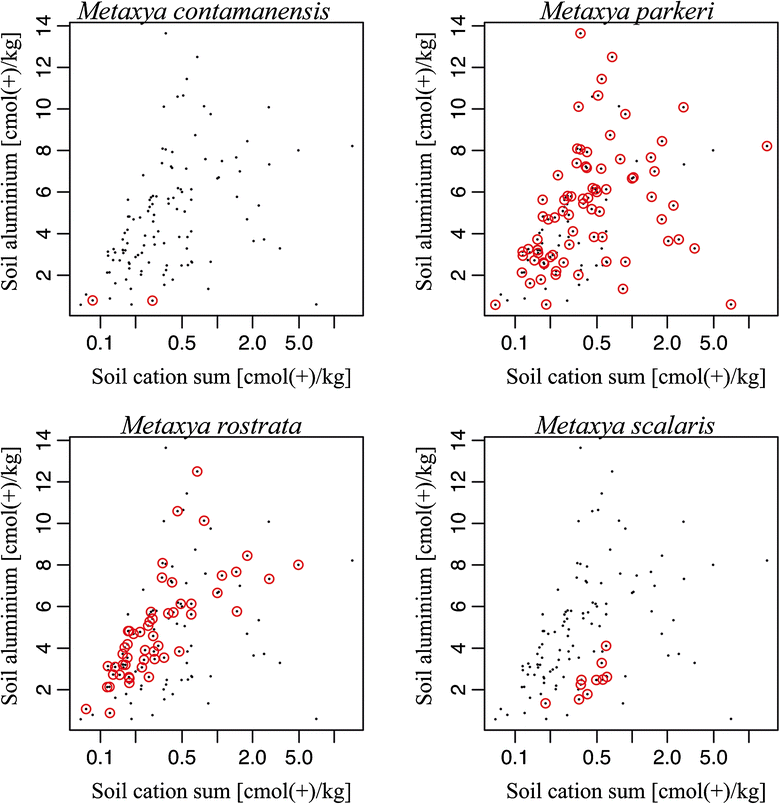 Newly discovered diversity in the tropical fern genus Metaxya based on ...