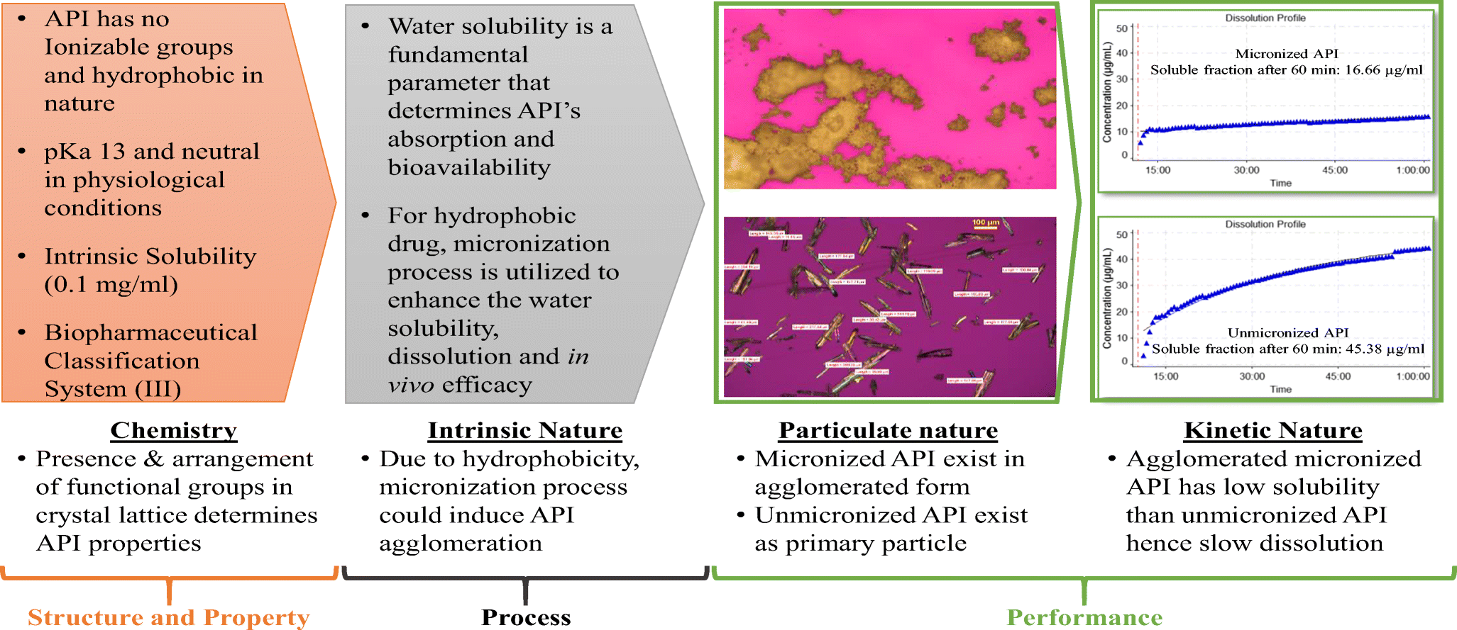 Micronization and Agglomeration: Understanding the Impact of API ...