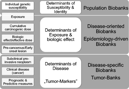Aspects of Modern Biobank Activity – Comprehensive Review | SpringerLink